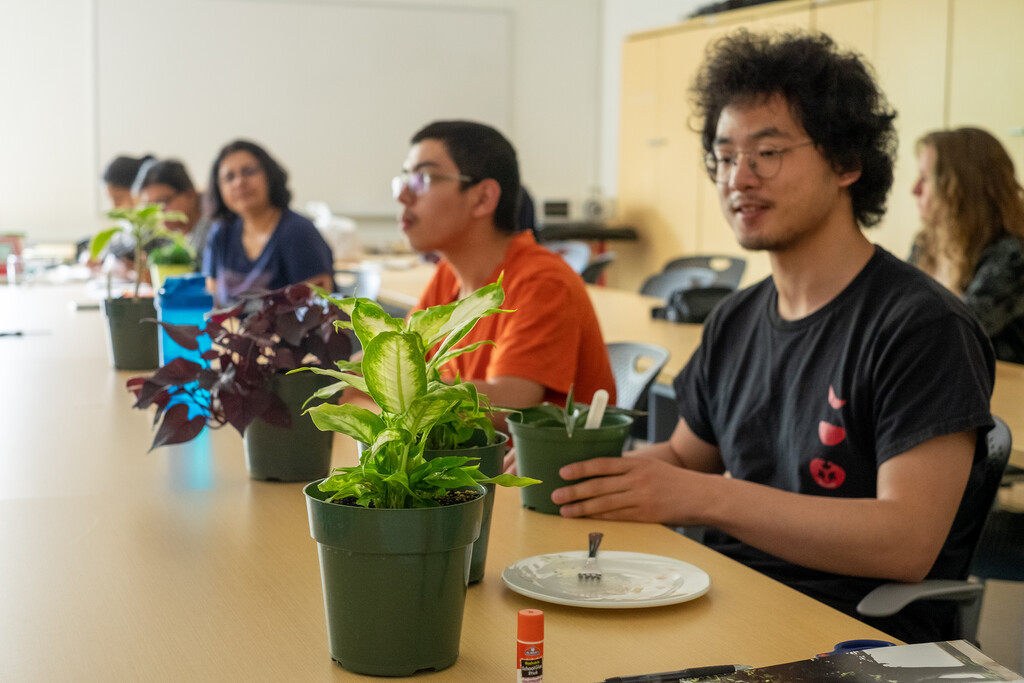 Plant Provocations | Blackwood Gallery