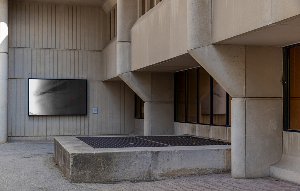 Liquid Traces-the-left-to-die-boat-case | Blackwood Gallery